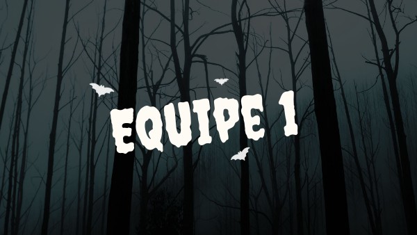 Découverte du CDI Equipe 1 | Genially