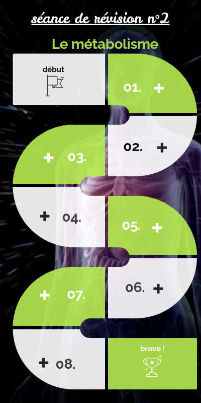 révisions métabolisme - flo- secondes - corot | Genially