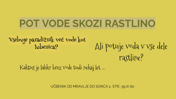 Pot vode po rastlini | Genially