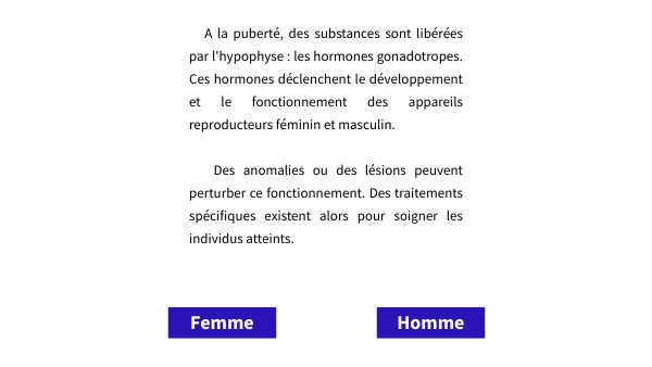 Hormones cérébrales Homme | Genially