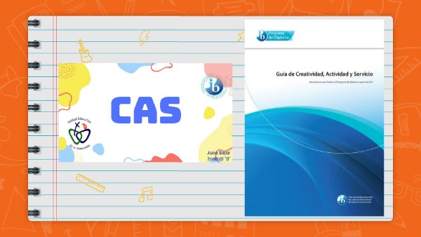 MANUAL DE CAS