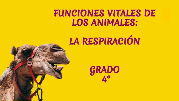 II P 4° RESPIRACIÓN ANIMAL | Genially