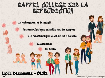 Rappel reproduction collège | Genially
