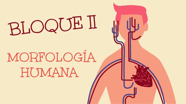 Bloque II | Genially