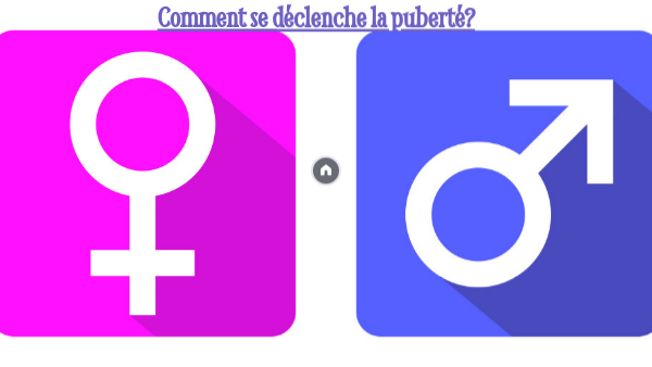 communication hormonale | Genially