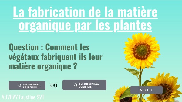 Copie - La fabrication de la matière organique chez les plantes | Genially
