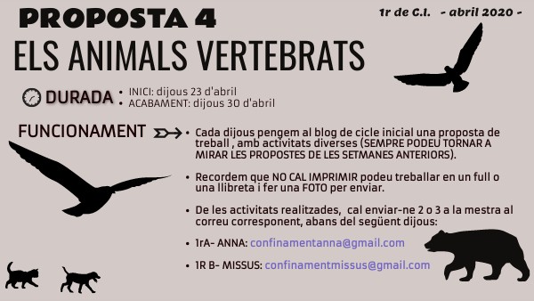 TASCA 4 1R | Genially