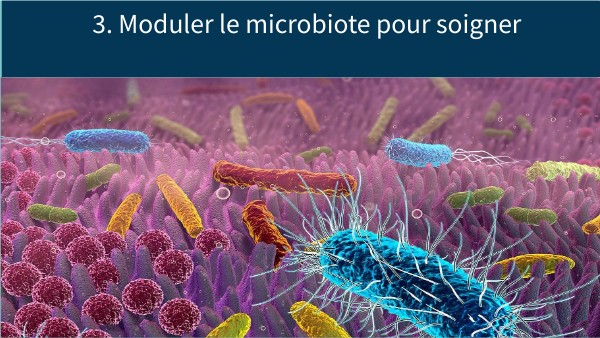 3. Moduler le microbiote pour soigner | Genially