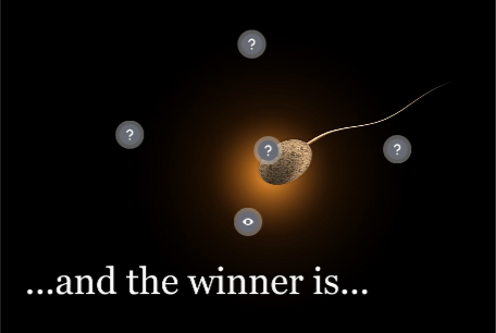 And the winner is...