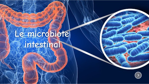 Le microbiote intestinal