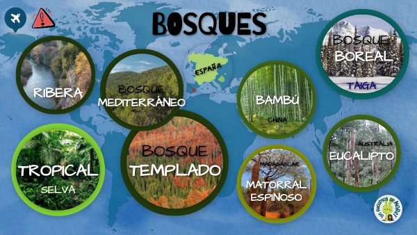 BOSQUES