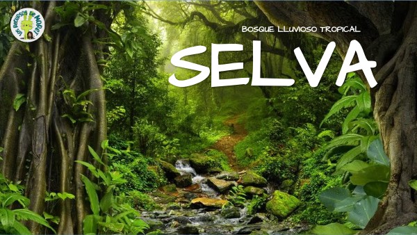 SELVA