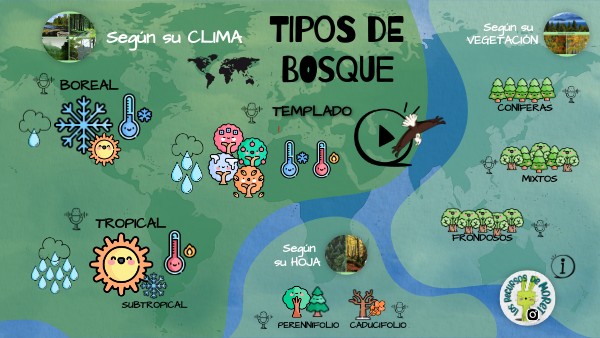 Tipos de BOSQUES | Genially
