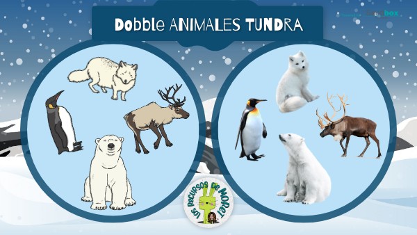 Dobble ANIMALES TUNDRA | Genially