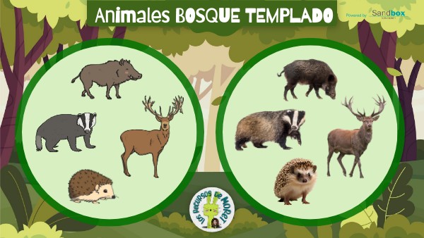 DOBBLE animales bosque | Genially