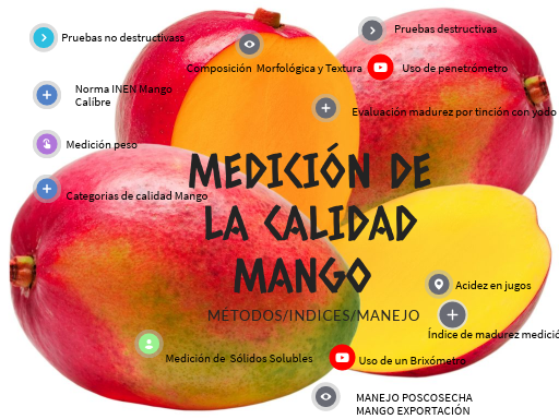 Medición calidad frutas Mango | Genially