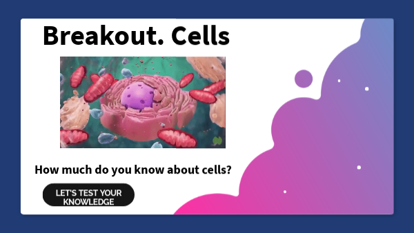 Copia - Breakout. Cells