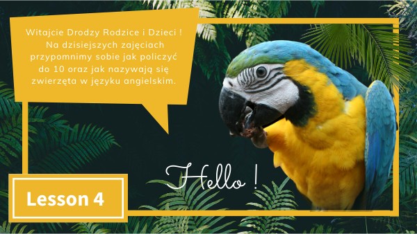 Lesson 4 - wild animals and numbers