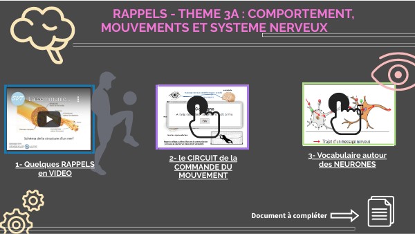 RAPPELS THEME 3 PARTIE A | Genially