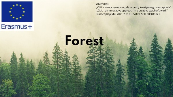forest | Genially