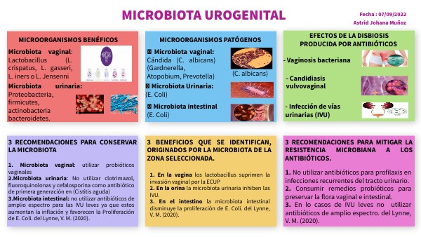 MICROBIOTA UROGENITAL | Genially