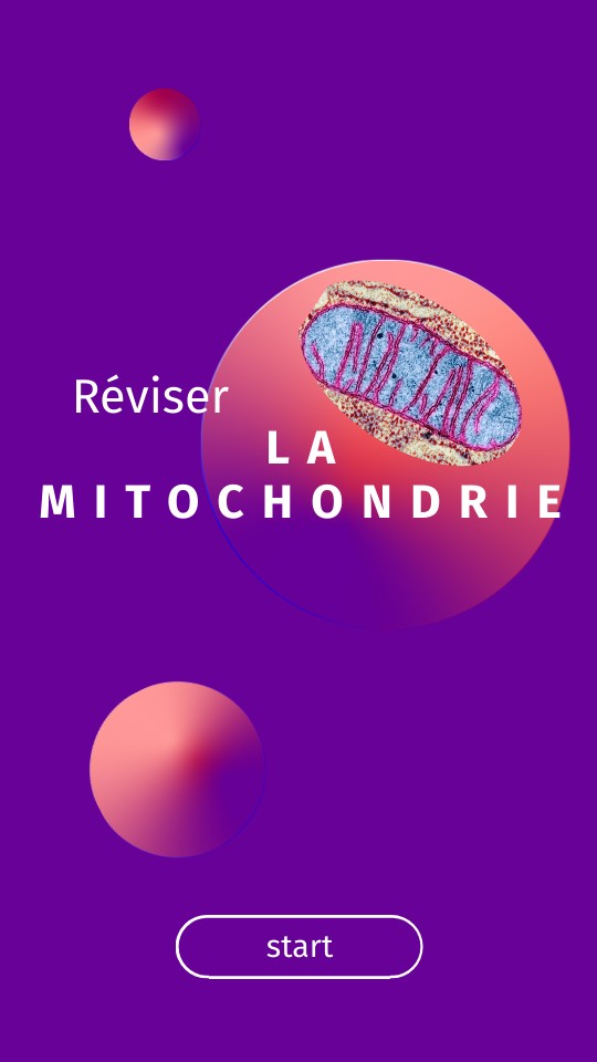 P3_T2_C1_Mitochondrie