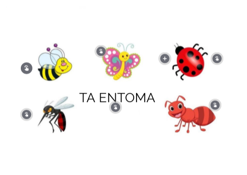 ΤΑ ΕΝΤΟΜΑ | Genially