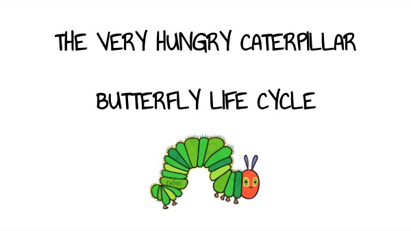 The very hungry caterpillar - Butterfly life cycle