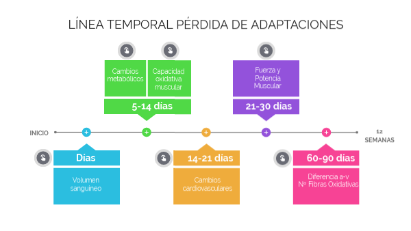 Linea temporal desentrenamiento | Genially