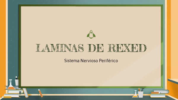 Laminas de Rexed | Genially