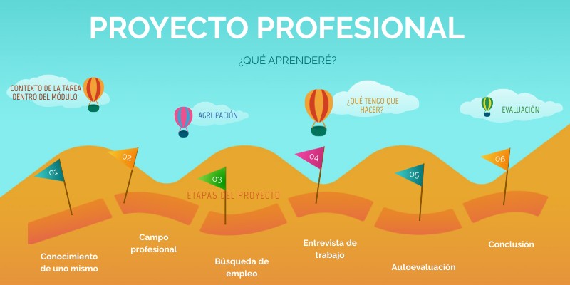 PROYECTO PROFESIONAL