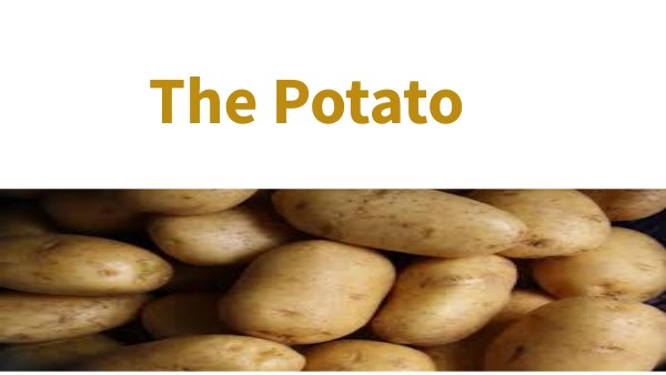 Potato Presentation | Genially