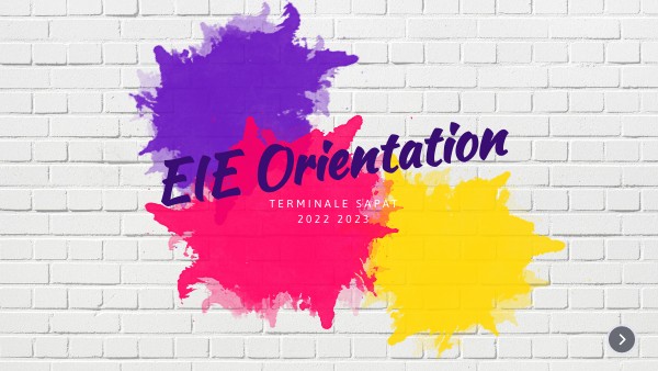 L'orientation en terminale SAPAT