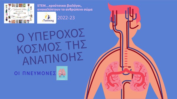 Ο υπέροχος κόσμος της Αναπνοής-Οι Πνεύμονες
