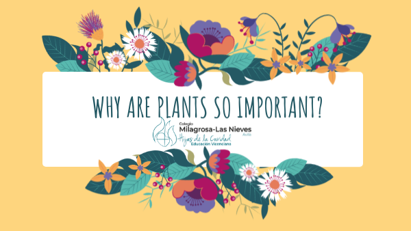 UNIT 4- PLANTS | Genially