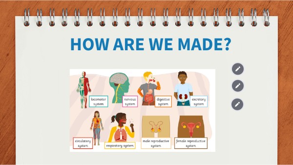 HOW ARE WE MADE? YEAR 4b | Genially
