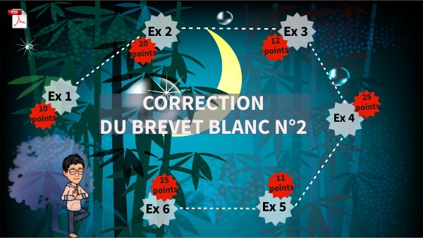 Correction brevet blanc Mai 2023