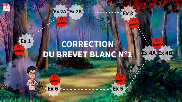 Correction du brevet blanc Jan 2024