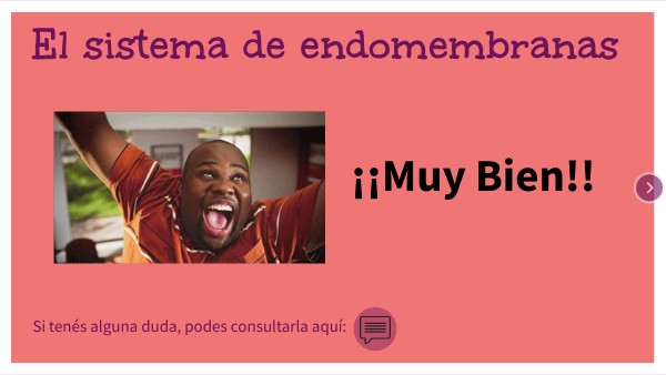 El sistema de endomembranas IntInv 23