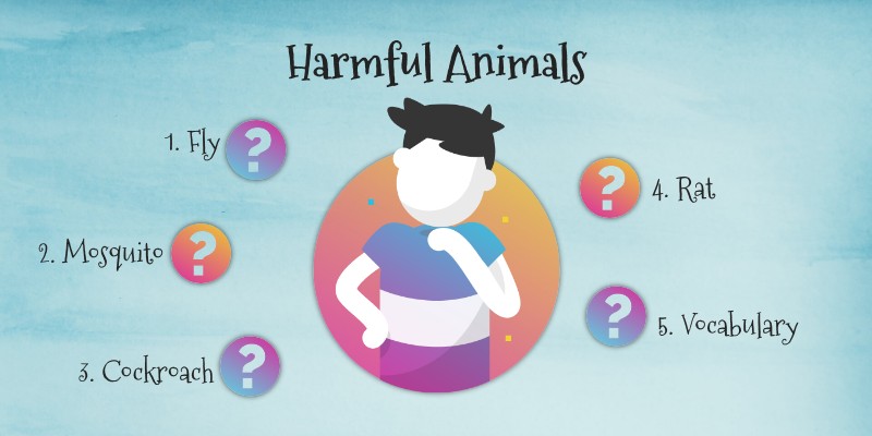 Harful Animals - Prepa 2023