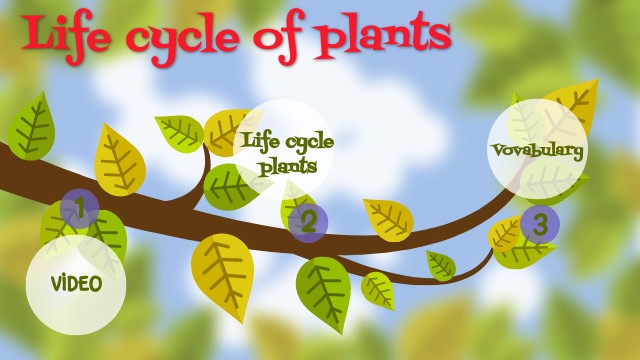 2022 - Life cycle plants