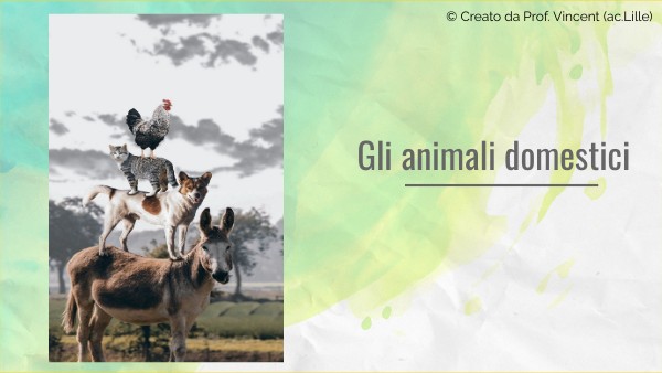 Gli animali domestici Prof. Vincent | Genially