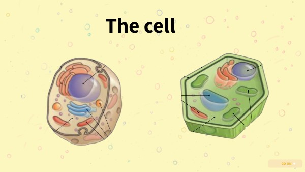 THE CELL