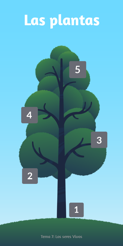 Las plantas | Genially