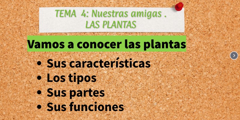 - Las plantas | Genially