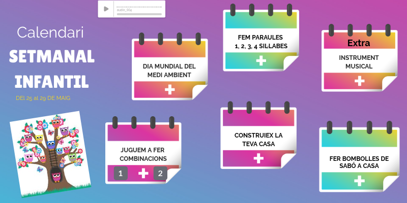 P5 - CALENDARI SETMANAL (25-29/5)