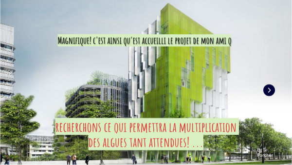 Réalisation d'une biofaçade | Genially