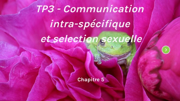 TP3-communication | Genially