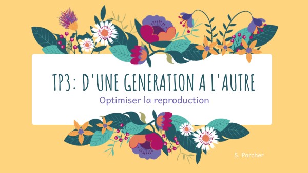 TP d'une génération à l'autre | Genially