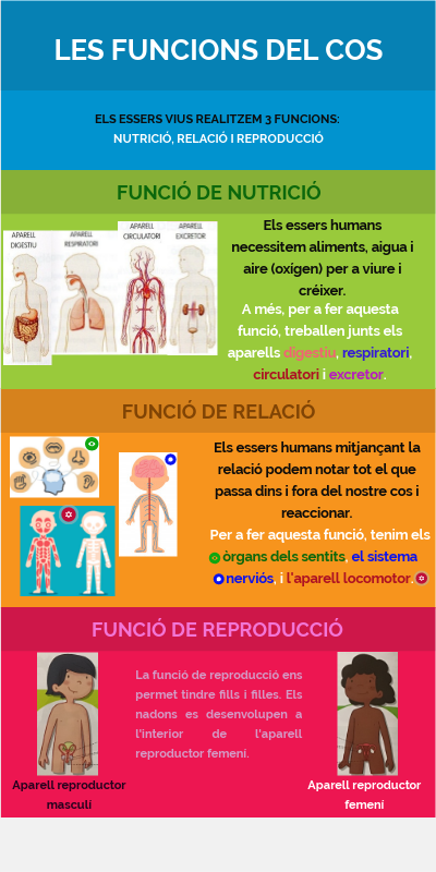 lES FUNCIONS DEL COS